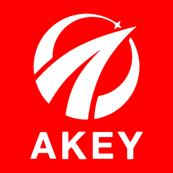 参加者は経営者のみ。決裁者と直接会える「AKEY会」| 資料ダウンロードフォーム - 株式会社まぐまぐ